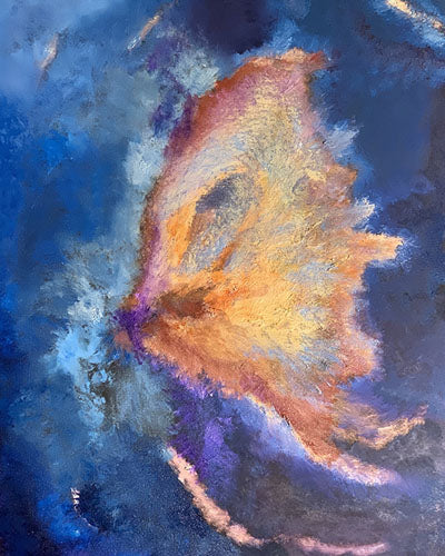 Kindred – CMS Studio Gallery